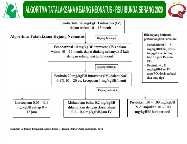 Pdf-Algoritma-Tatalaksana-Kejang-Neonatus - Compress | PDF