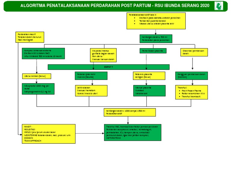 Algoritma Penatalaksanaan Pendarahan Post Partum | PDF