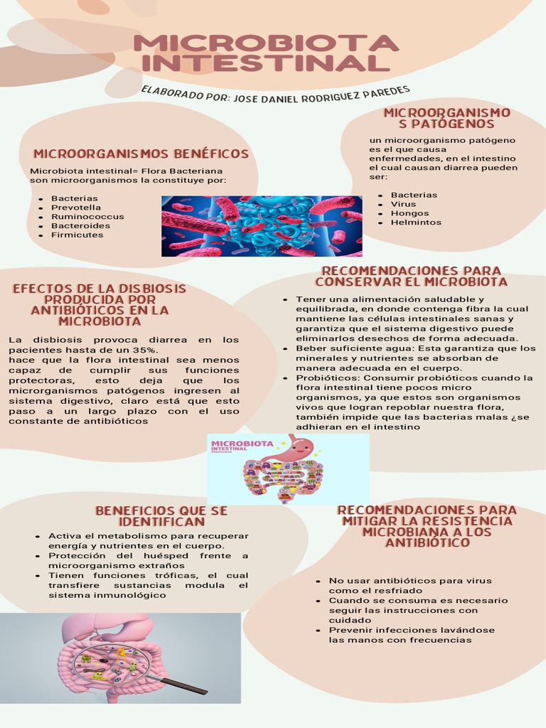Microbiota Intestinal | PDF | Las bacterias | Enfermedades y trastornos