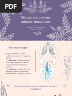 FARINGE y LARINGE - Anatomía II, Veterinaria | PDF | Laringe ...