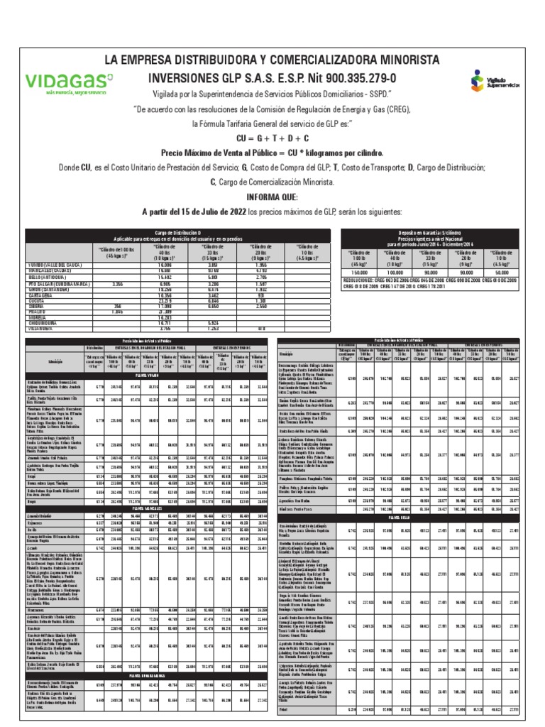 Vidagas Dos Paginas 3 | PDF