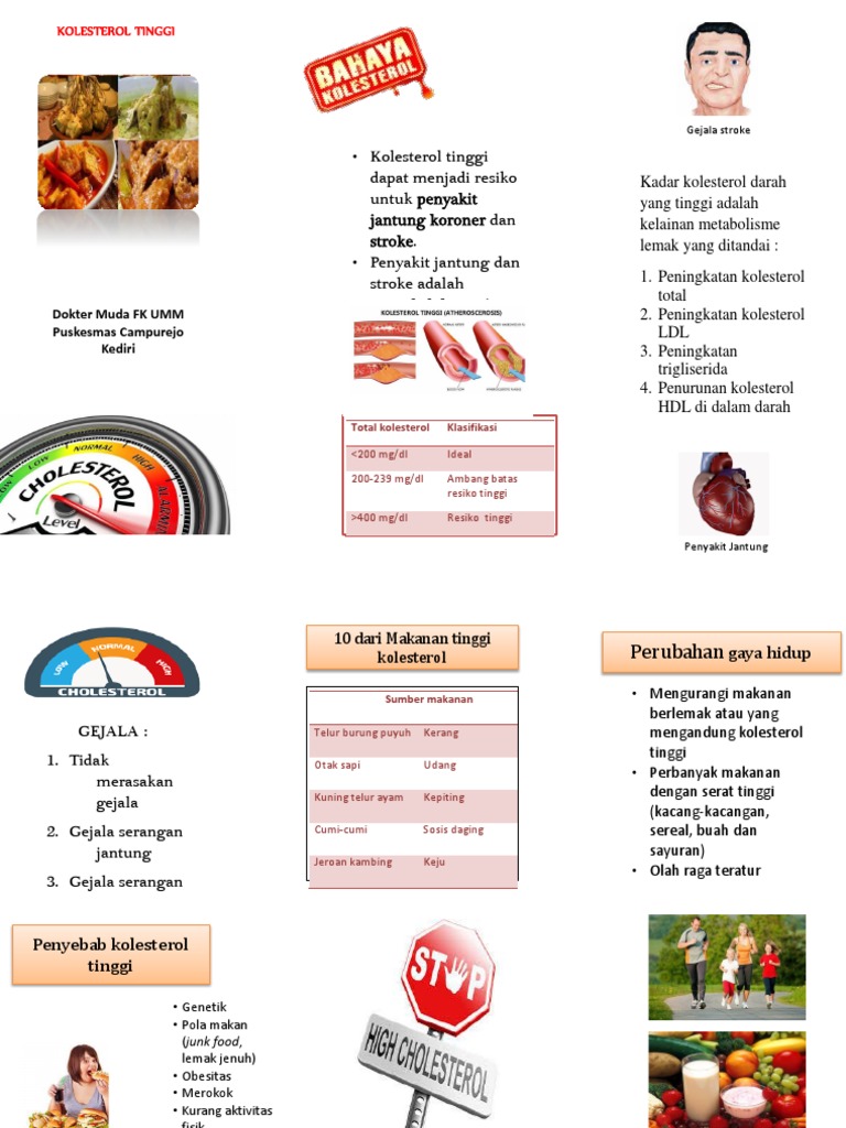 Leaflet Kolesterol | PDF