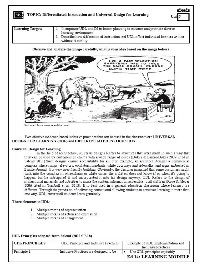 UDL and Differentiated Instruction Strategies | PDF | Differentiated ...