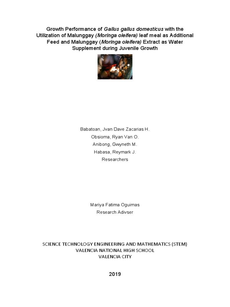 Manok Na White Update | PDF | Poultry | Poultry Farming
