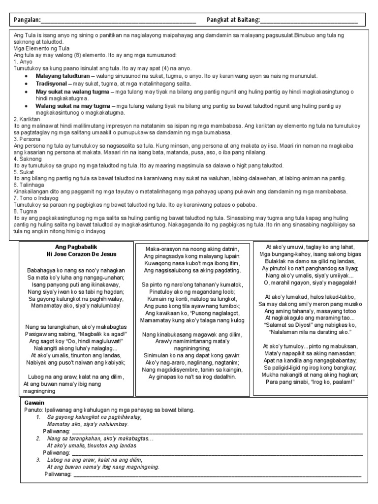 Lecture Activity Tula | PDF