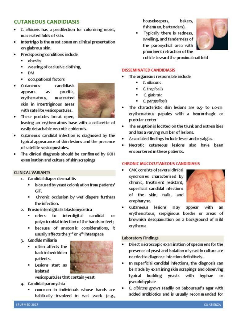 Cutaneous Candidiasis Overview | PDF | Candidiasis | Candida (Fungus)