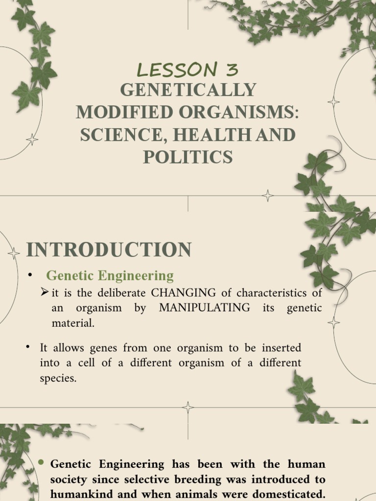 Sts Report | PDF | Genetically Modified Organism | Genetic Engineering