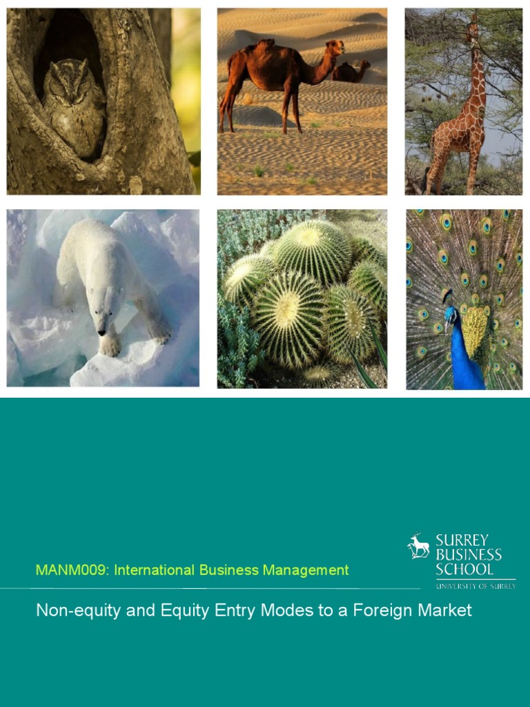 Non-Equity and Equity Entry Modes To A Foreign Market | PDF ...