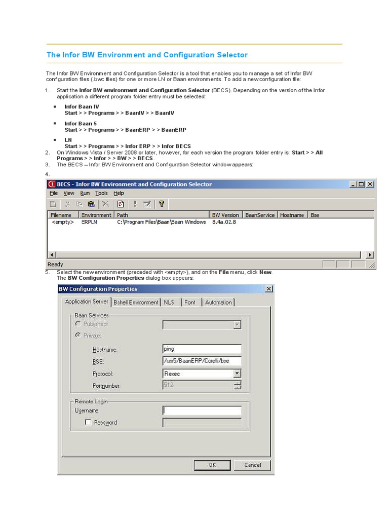 The Infor BW Environment and Configuration Selector | PDF | Computer File | Utility Software