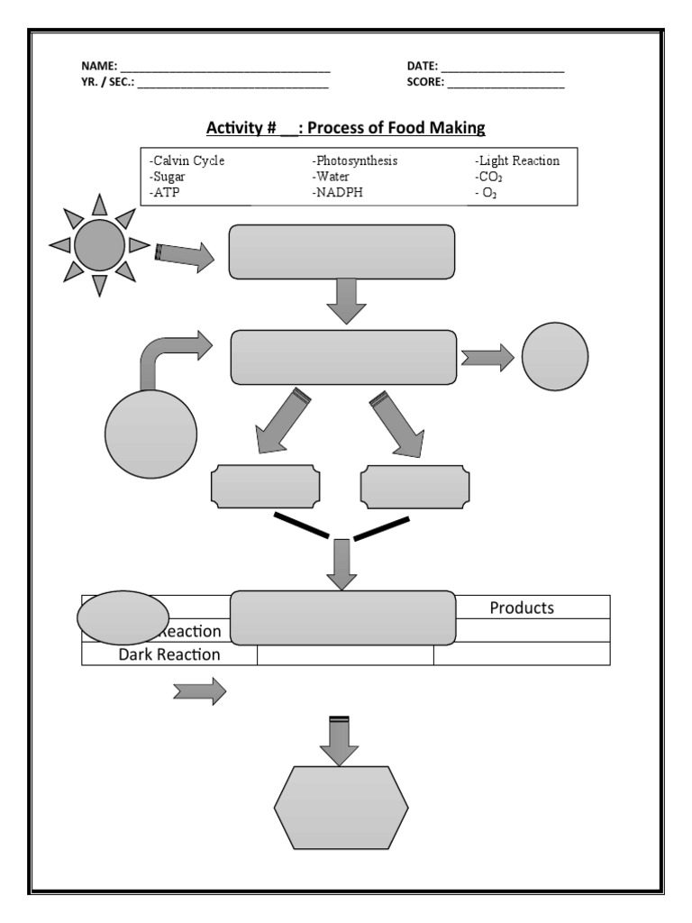Activity Sheet For Process of Food Making | PDF