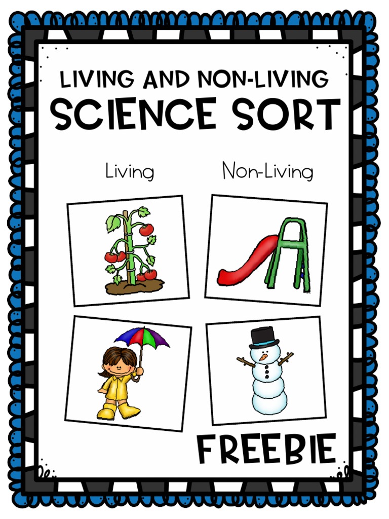 Science Sort: Living and Non-Living | PDF
