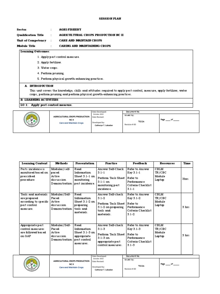 SESSION PLAN - CLabadan | PDF | Learning | Cognition