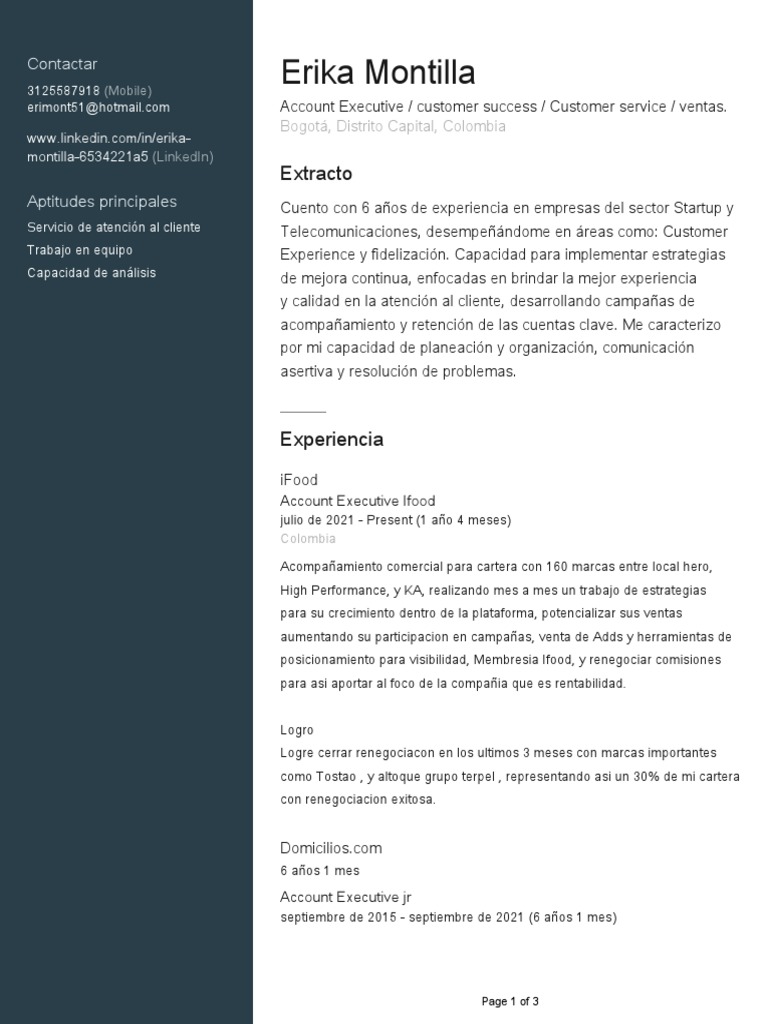 CV Erica Montilla | PDF | Business