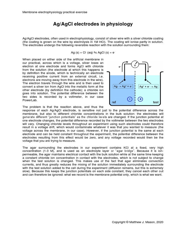 The AgCl Electrode Lecture Material | PDF | Chemistry | Electromagnetism
