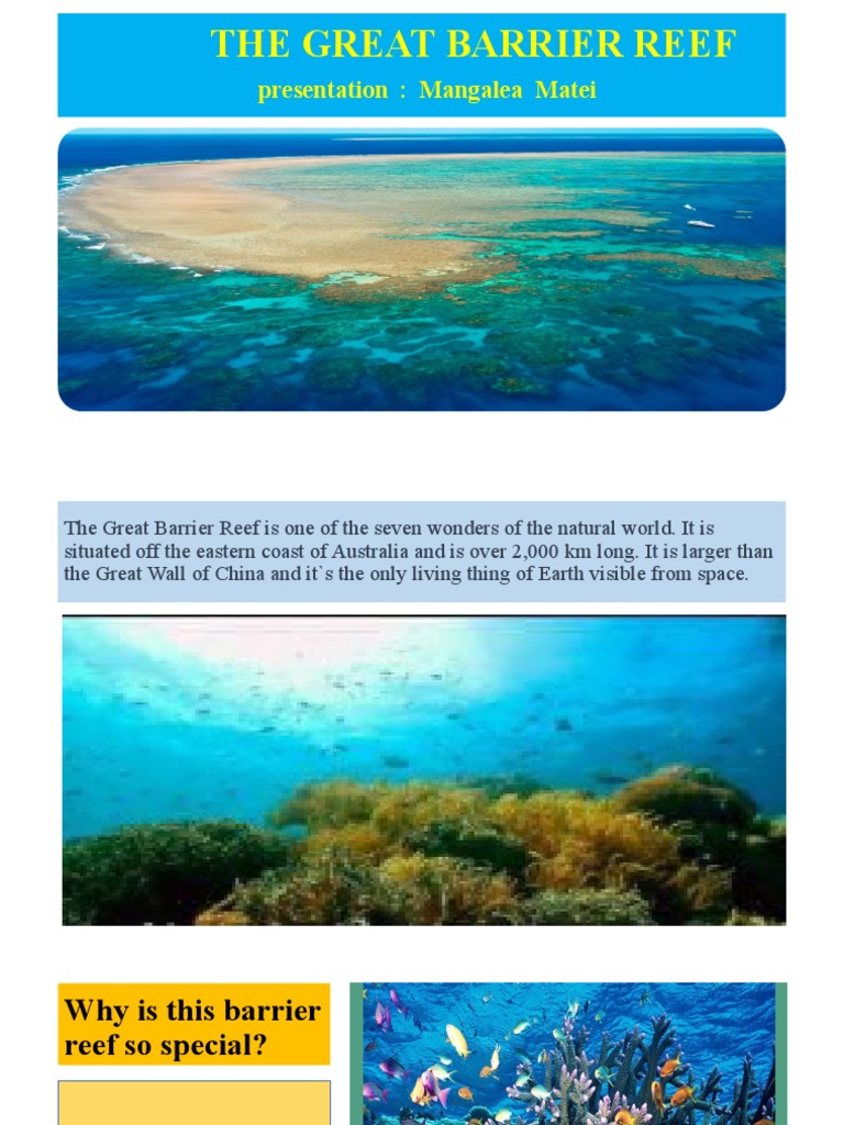 Presentation-The Great Barrier Reef | PDF