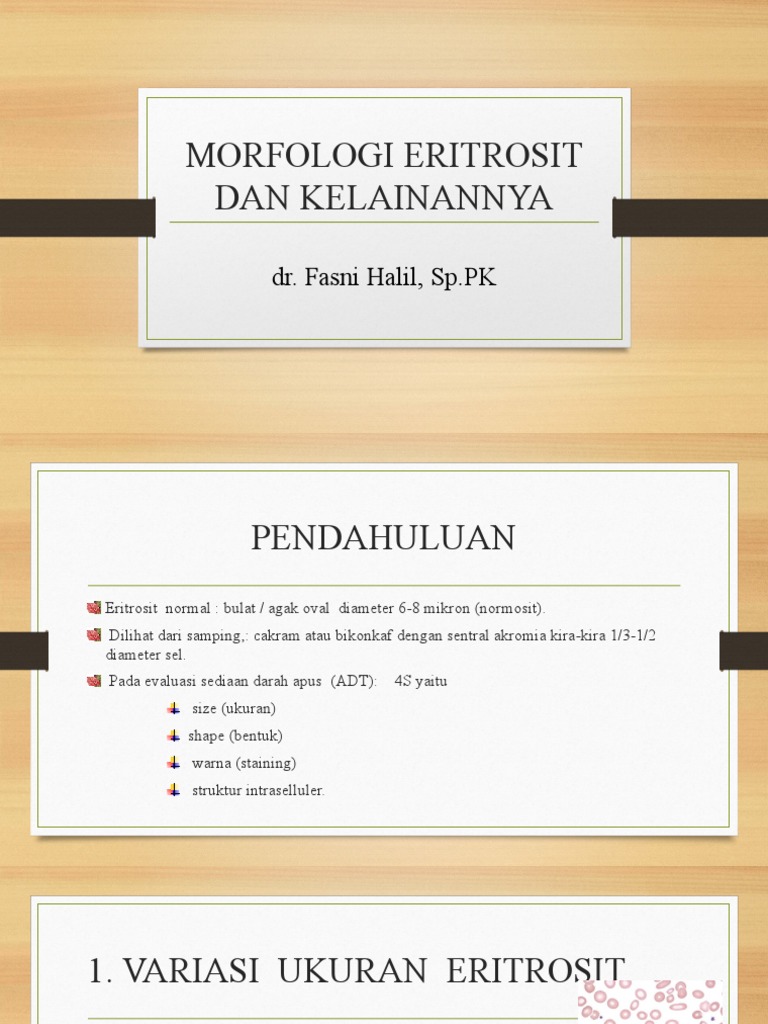 1.1 Morfologi Sel Darah Normal Dan Abnormal | PDF