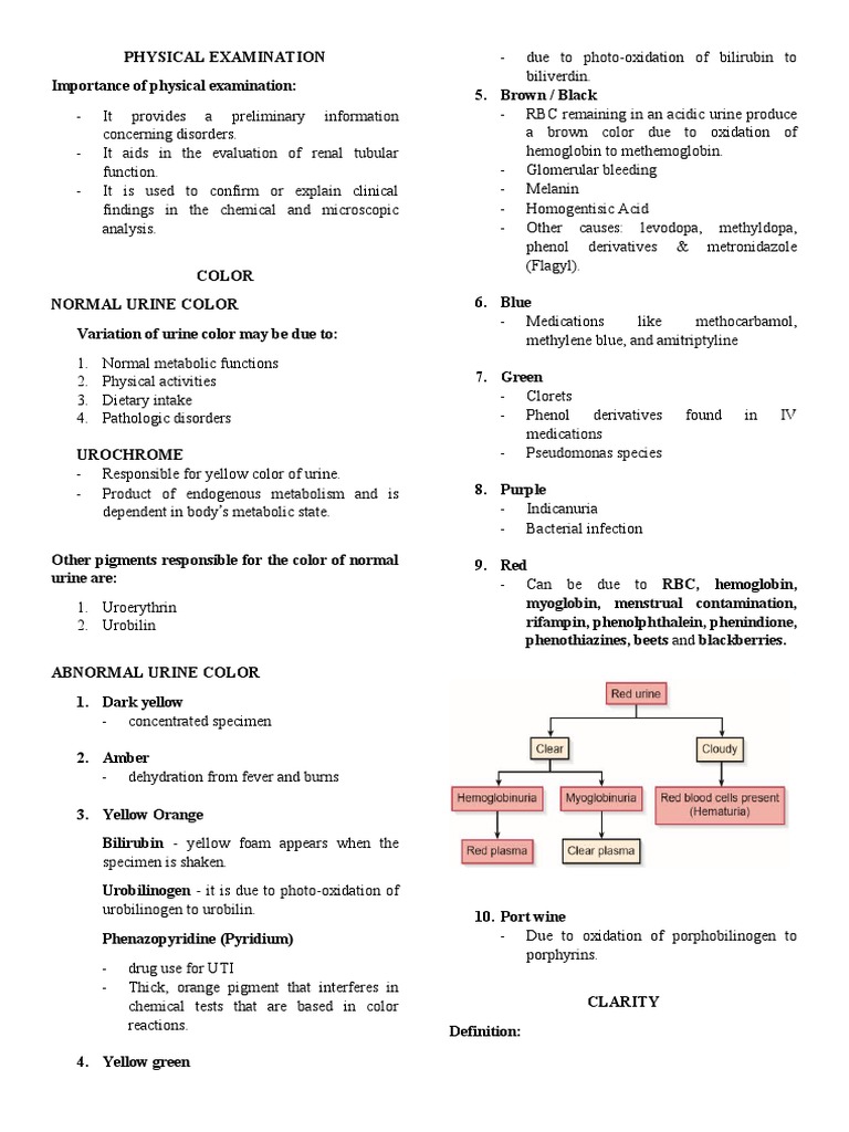 Physical Examination Aubf | PDF | Urine | Medical Specialties Physical Examination Aubf | PDF | Urine | Medical Specialties