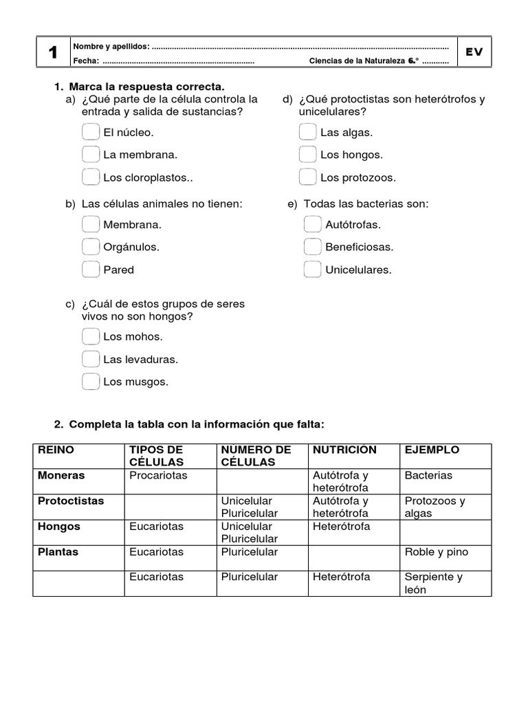Examen Tema 1 Ciencias Naturales - Los Seres Vivos | PDF | Plantas ...