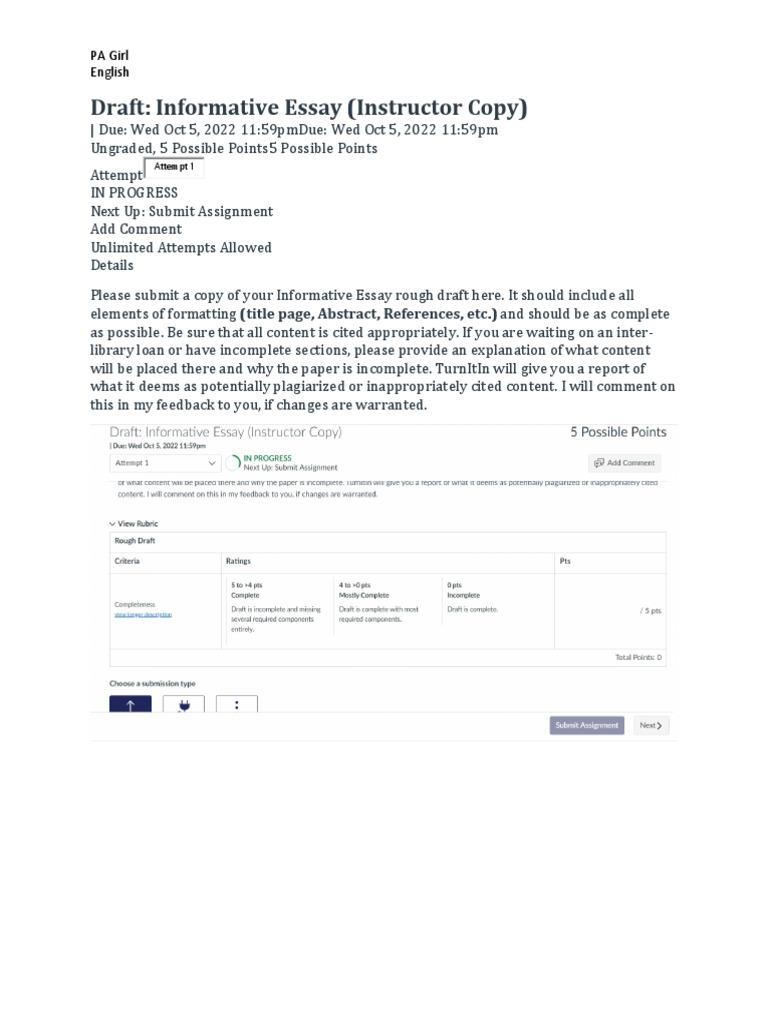 English Draft Paper | PDF