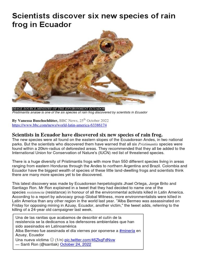 Scientists Discover Six New Species of Rain Frog in Ecuador | PDF ...