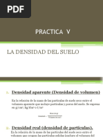 Características del Suelo Regosol | PDF | Agua | Los bosques