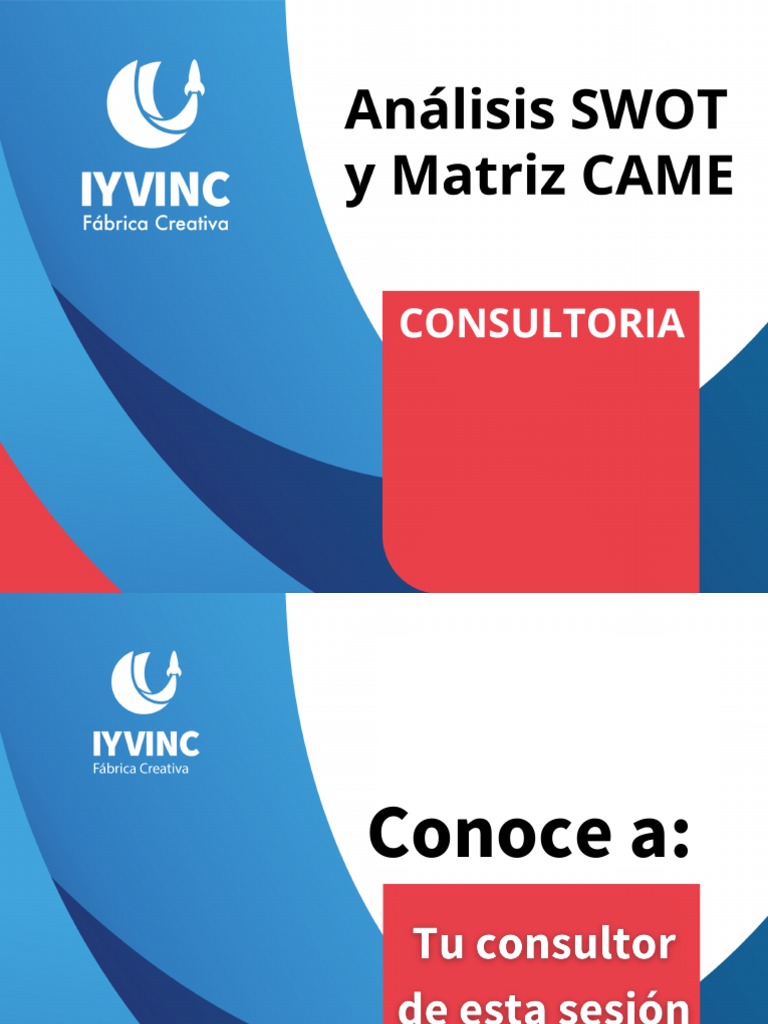 BMC - 1. Análisis Swot | PDF