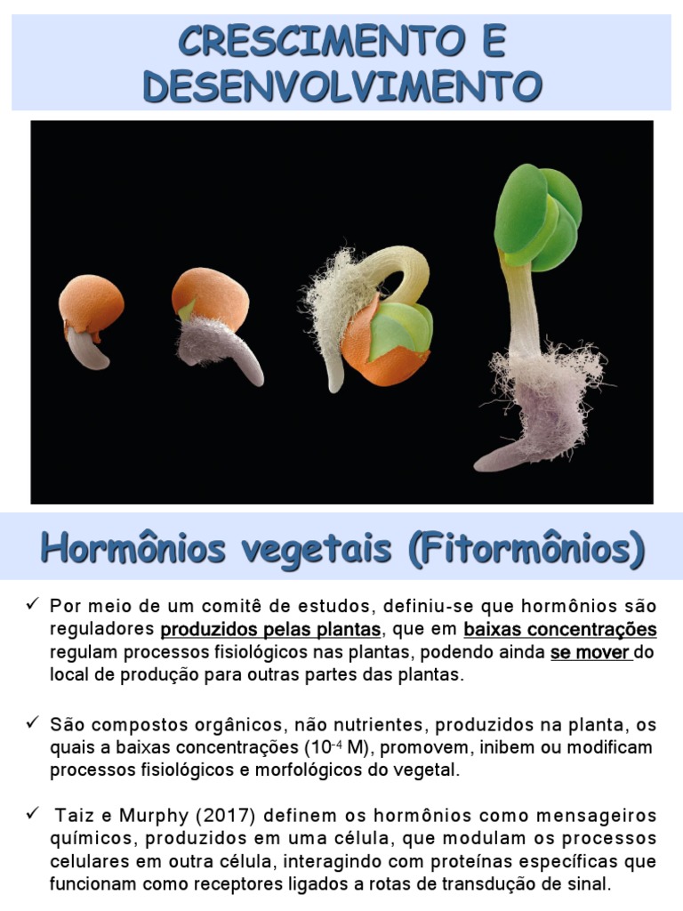 Crescimento e Desenvolvimento - AIA, GAs, CKK | PDF | Auxinas | Raiz