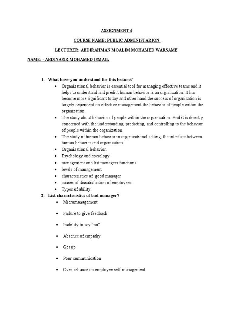 ASSIGNMENT 4 Puplic Adm | PDF | Self-Improvement