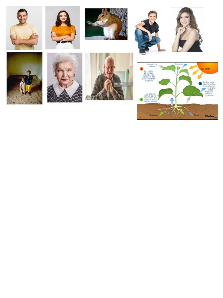 Documento Sofia Hernadez | PDF