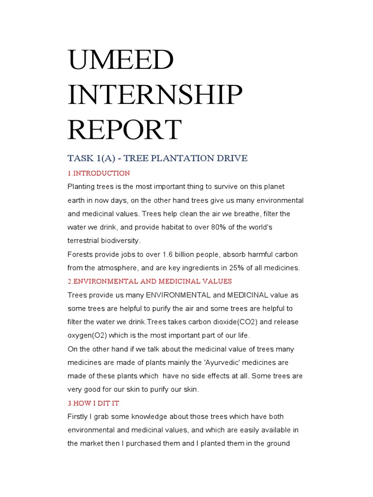 Umeed Internship Report | PDF | Science & Mathematics