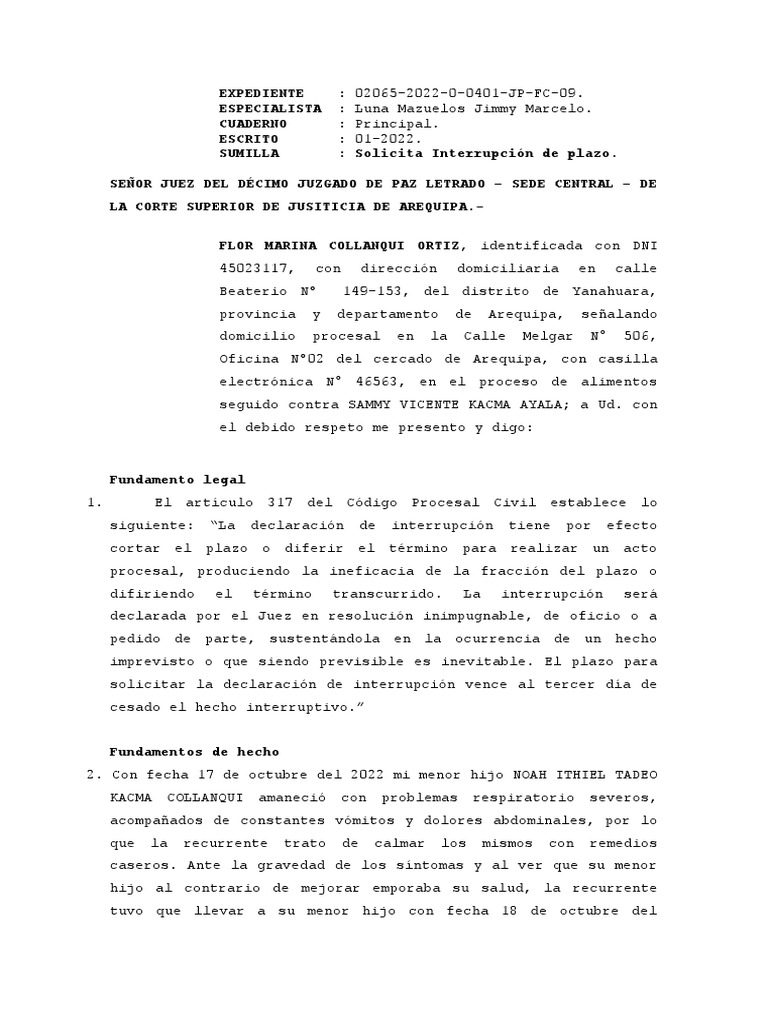 Interrupcion de Plazo | PDF | Apelación | Sentencia (ley)