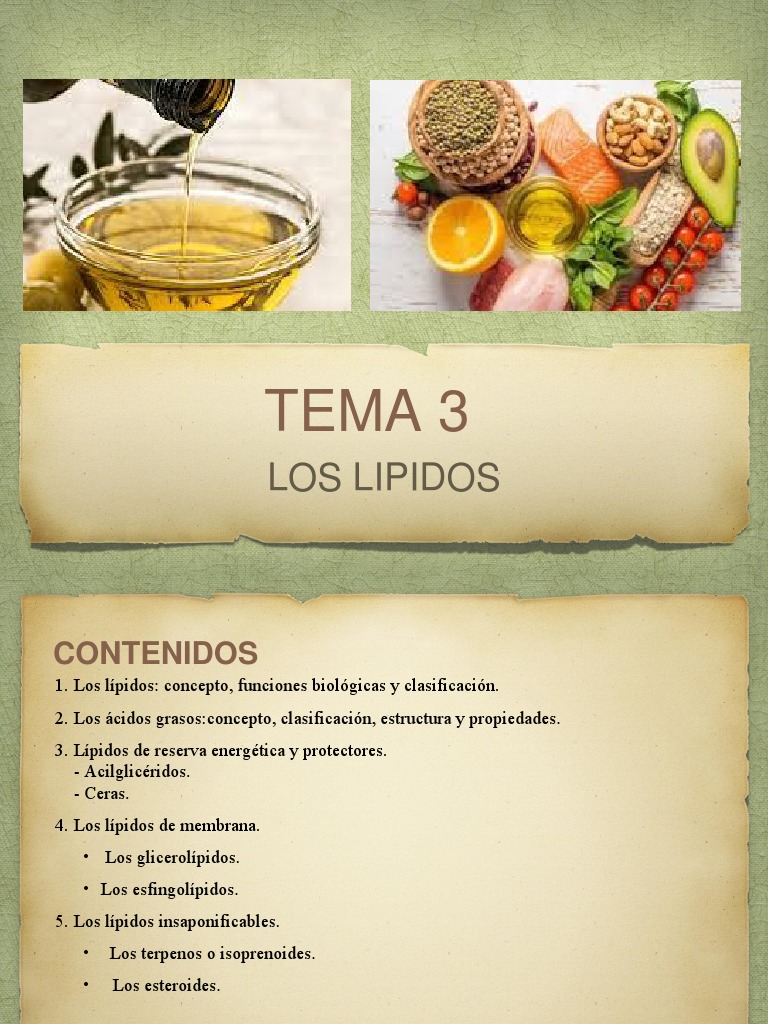 TEMA 3 Biología 2º LIPIDOS 21-22 | PDF | Lípido | Ácido graso