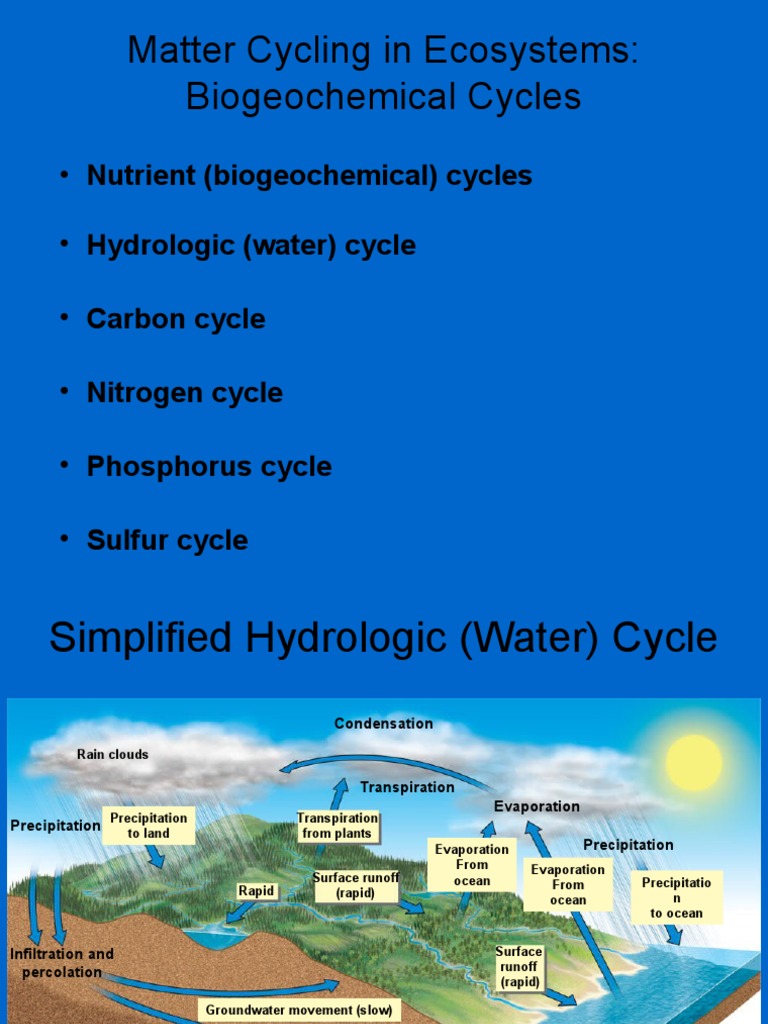 Key Biogeochemical Cycles: The Hydrologic, Carbon, Nitrogen, Phosphorus ...