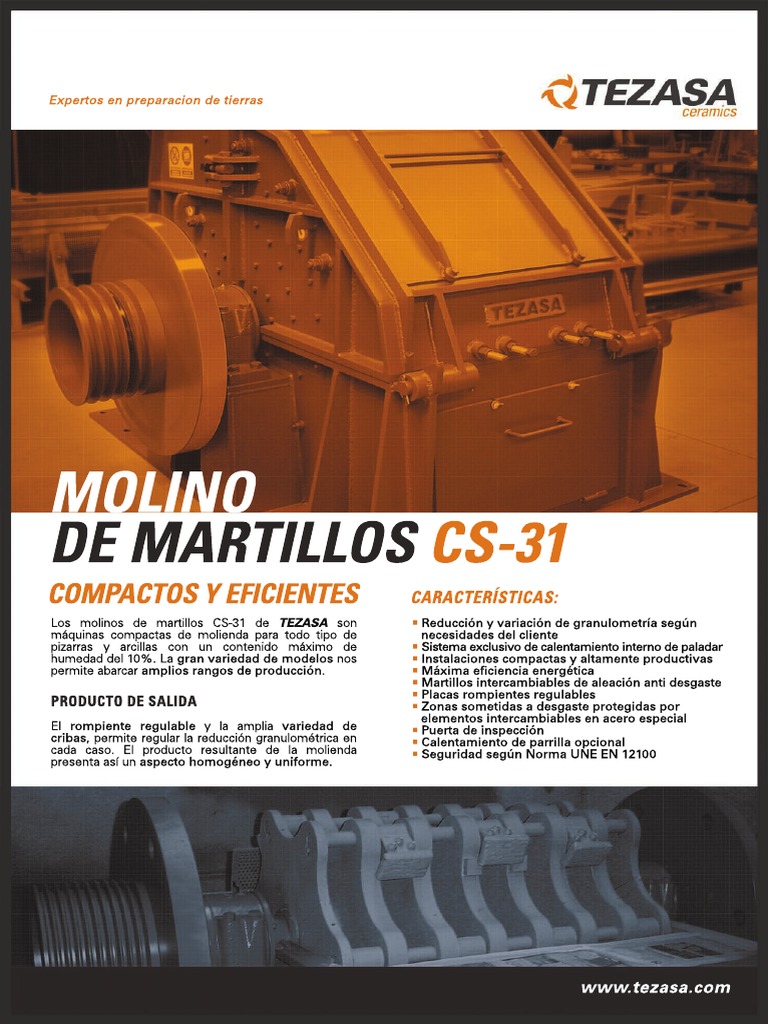 Esp CS31 | PDF
