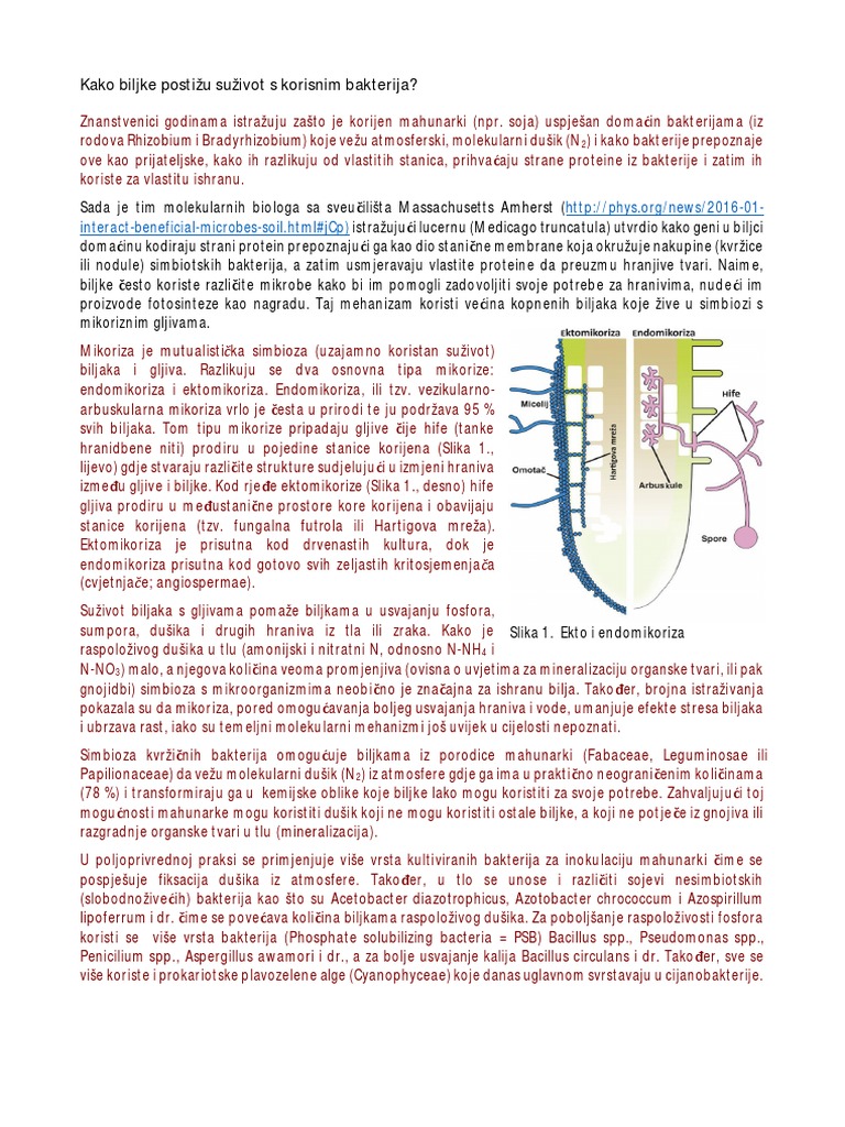 Mikroorganizmi - I - Biljke Ukratko | PDF