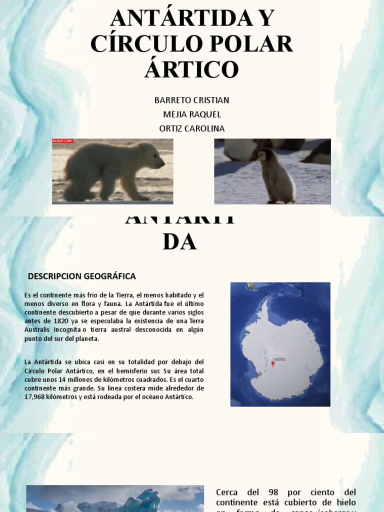 Flora y fauna de Antártida y Ártico | PDF | Ártico | Ciencias de la Tierra