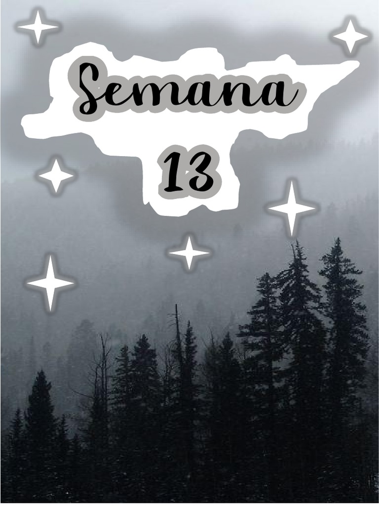 Carátula - Semana 13 | PDF