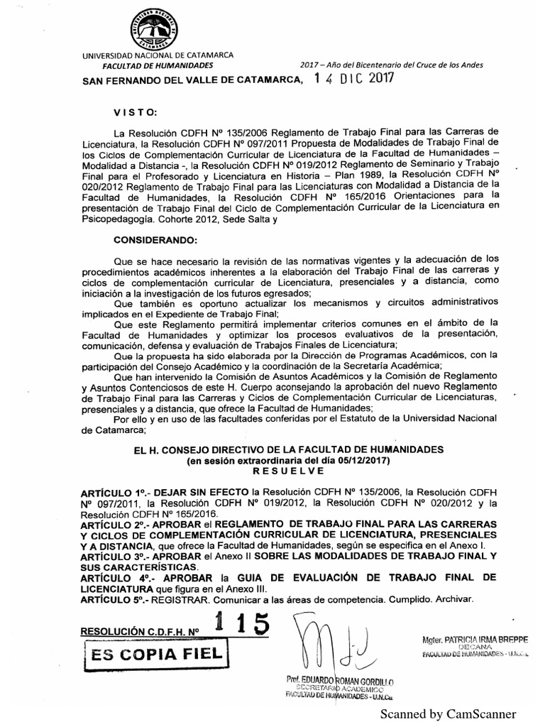 Reglamento Trabajo Final 2018 | PDF