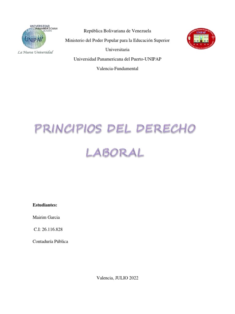 Derecho Laboral Principios | PDF | Derecho laboral | Gobierno