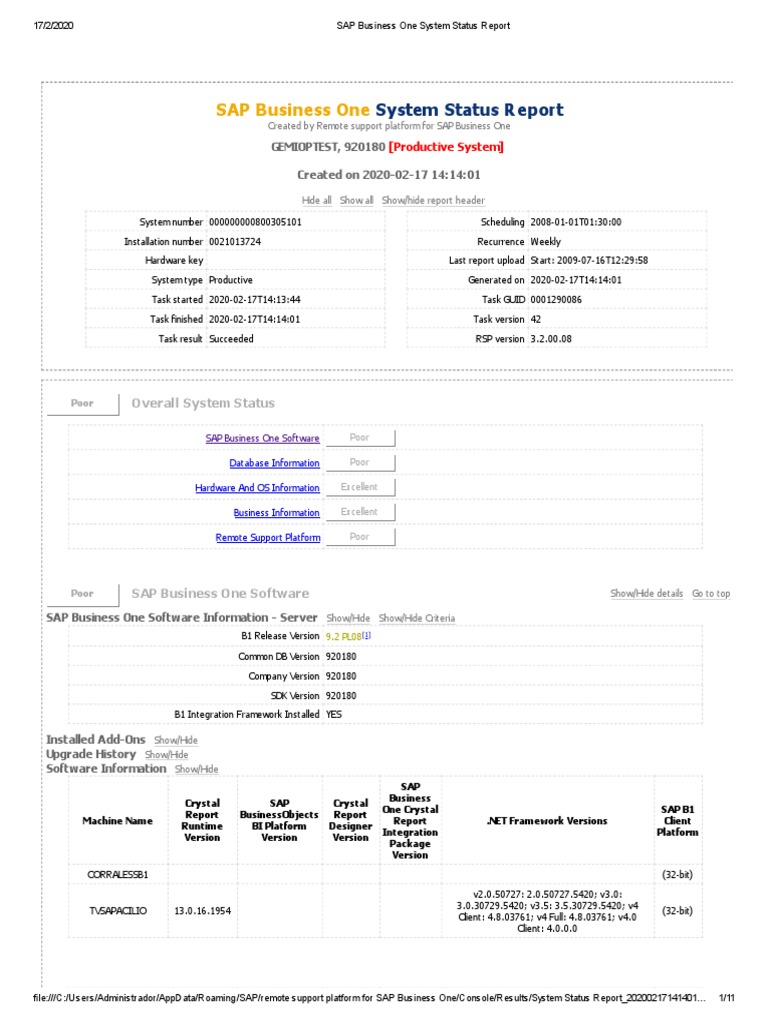 SAP Business One Status Report 2020 | PDF | Software | Information ...