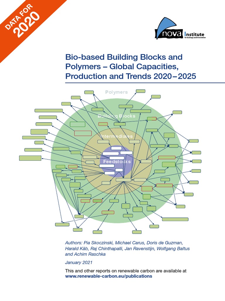 21 01 28 Bio Based Building Blocks and Polymers Short Version | PDF ...