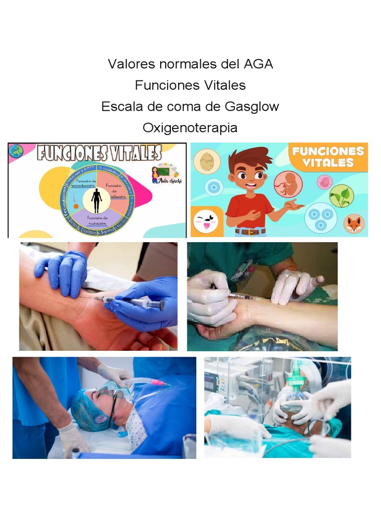 Valores Normales Del AGA | PDF