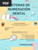 Nomenclatura Dentaria - El Código Internacional (FDI) | PDF | Diente | Ramas de Odontología