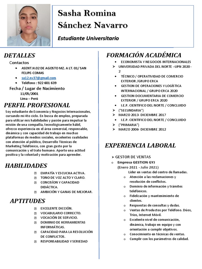CV Sasha 2022 | PDF | Informática | Business