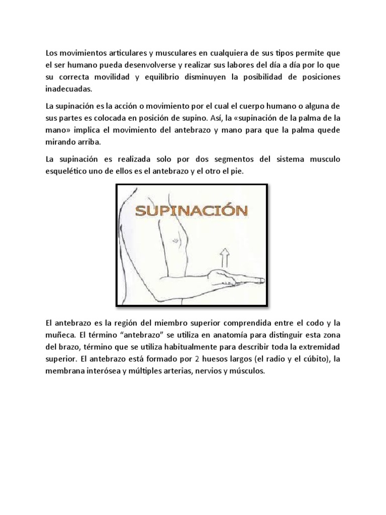 Supinación del Antebrazo y Mano | PDF | Codo | Mano