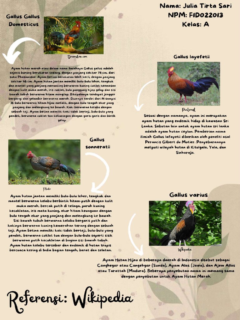 Biodiversitas Genus Gallus Gallus | PDF