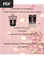 Teorías de Caries y Triada de Keyes | PDF | Las bacterias | Diente