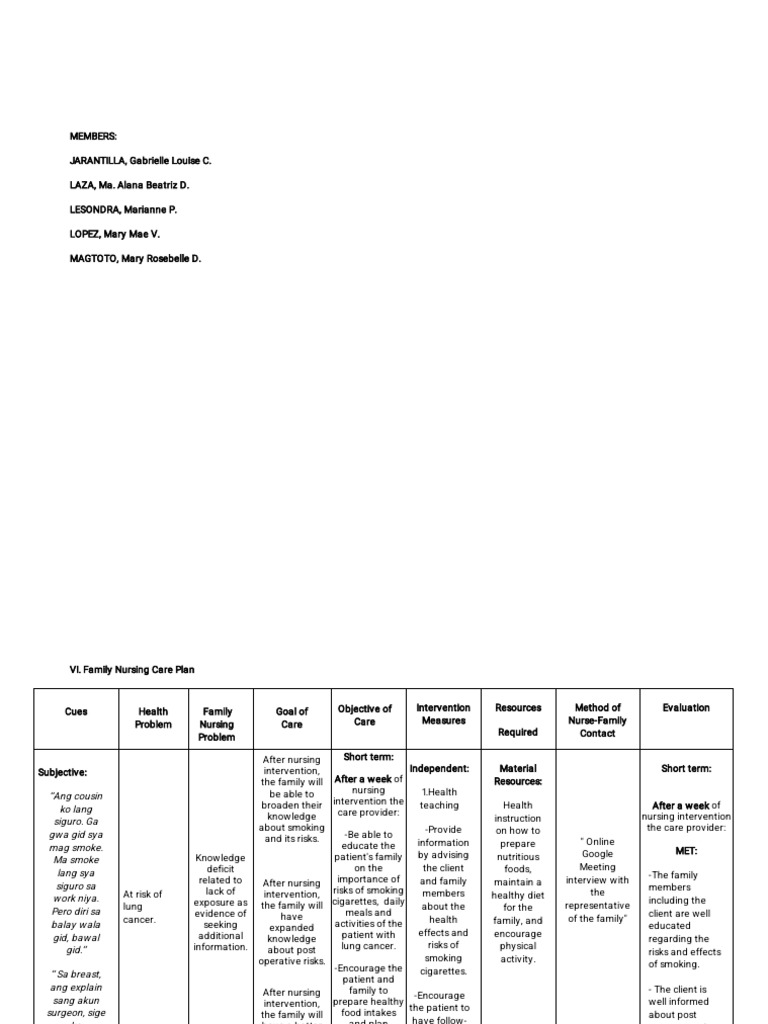 Family Nursing Care Plan 11 | PDF