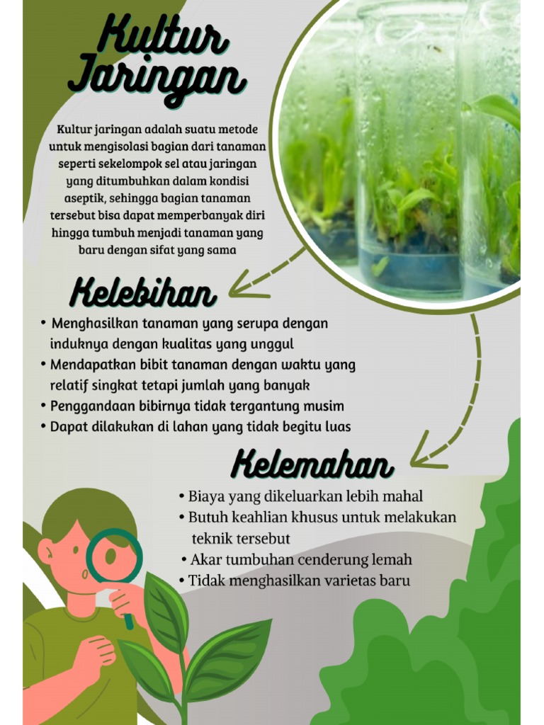 Poster Kultur Jaringan | PDF