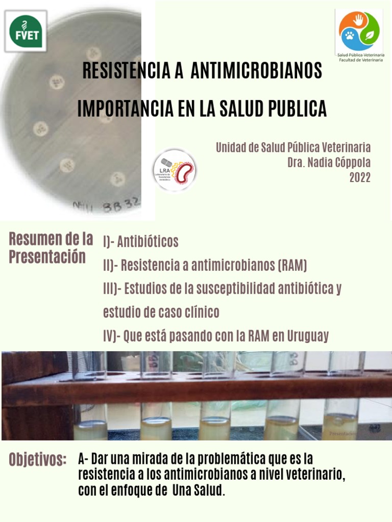 11) Resistencia Antimicrobiana | Descargar gratis PDF | Las bacterias | Medicina CLINICA